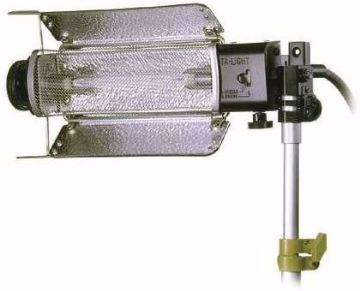 Castex Rentals. Kit Lights
